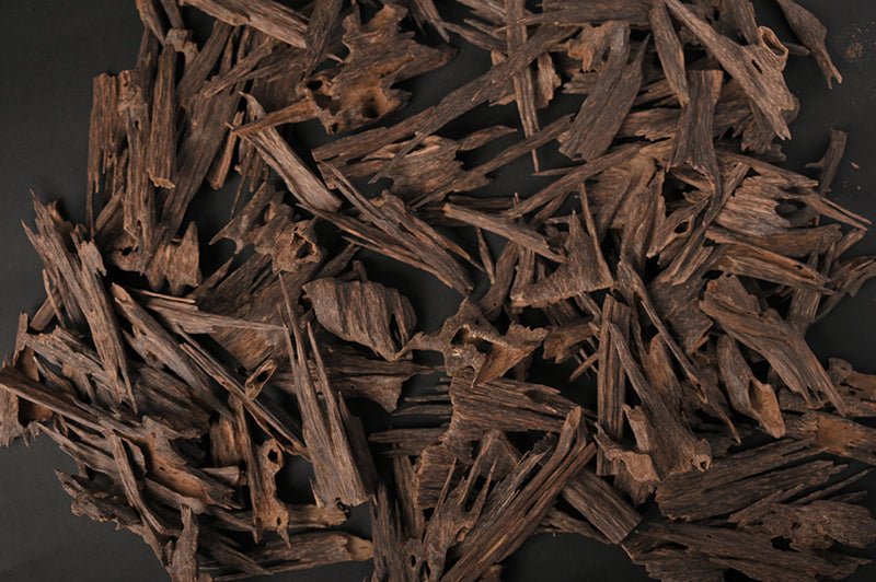 Jumbo Mouri Chocolate Oud | Unvoyage Boutique